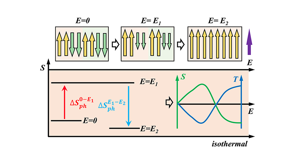 A breakthrough in electrocaloric cooling technology for eco-friendly ...