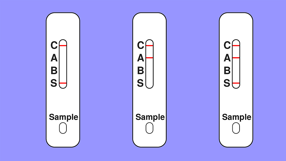 General model for coupled infectious diseases clarifies how COVID ...