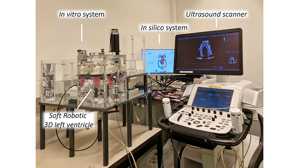 Realistic cardiovascular simulator expedites medical device testing ...