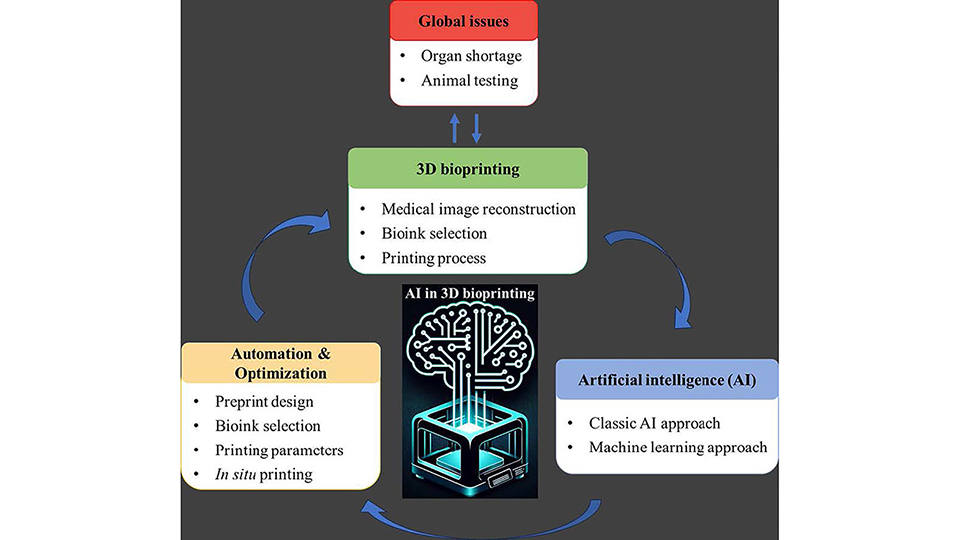Employing artificial intelligence to augment 3D bioprinting | Scilight | AIP Publishing
