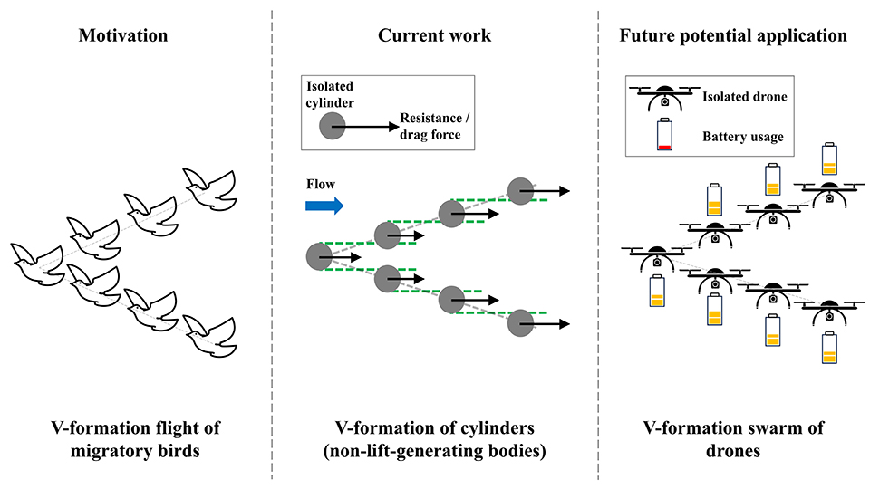 Even without wings, V-formations save energy | Scilight | AIP Publishing