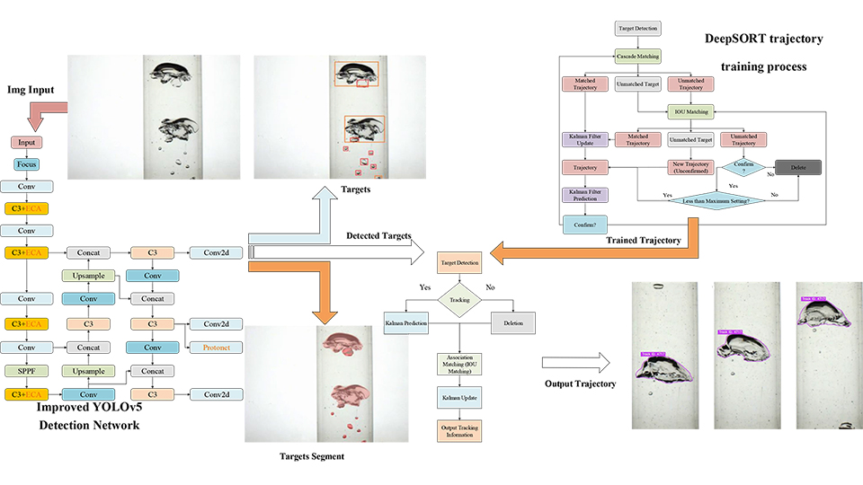 Deep learning algorithms identify and track bubbles through gas-liquid interfaces in real time ...