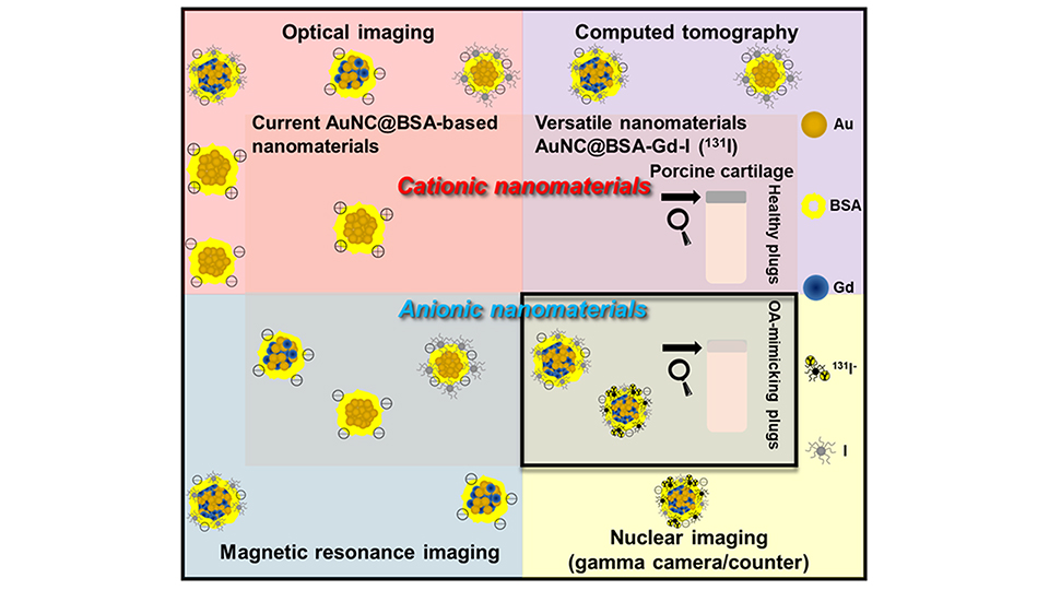 Gold-based nanomaterial boosts resolution and sensitivity of imaging ...
