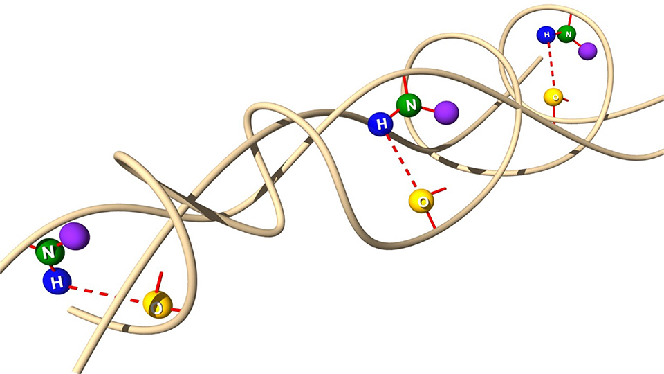 Predicting properties of aminated associated polymers as they age ...