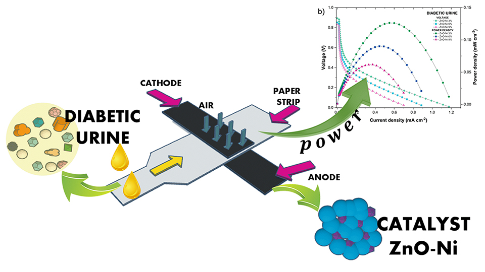 Composite fuel cell harnesses diabetic urine to power portable medical devices | Scilight | AIP ...