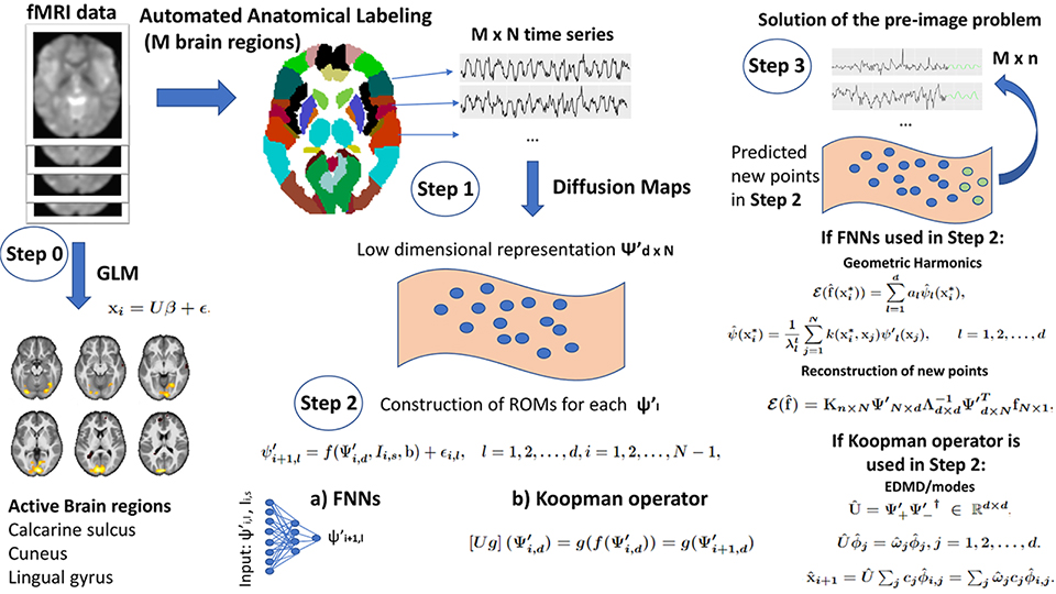 New machine-learning approach improves ability to predict long-term brain activity based on fMRI ...