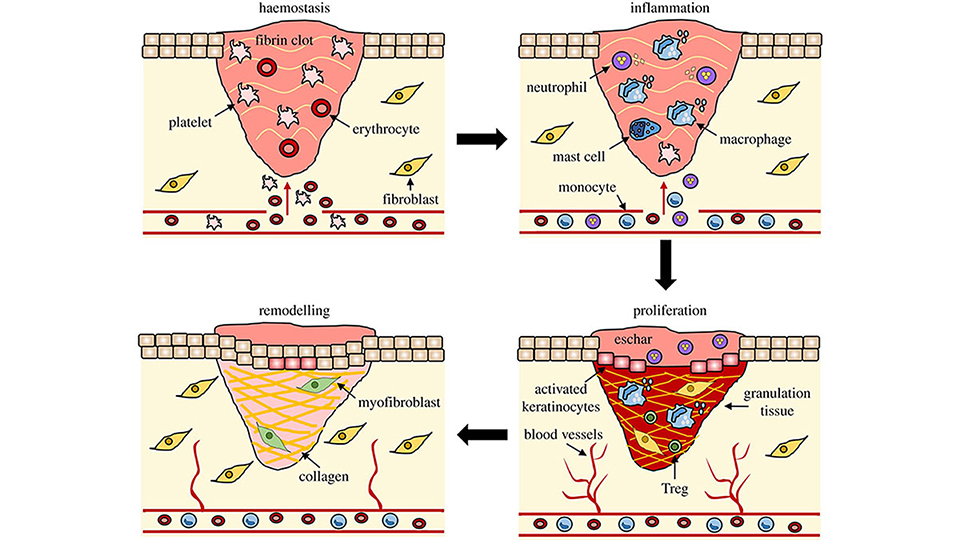 Scilight | AIP Publishing