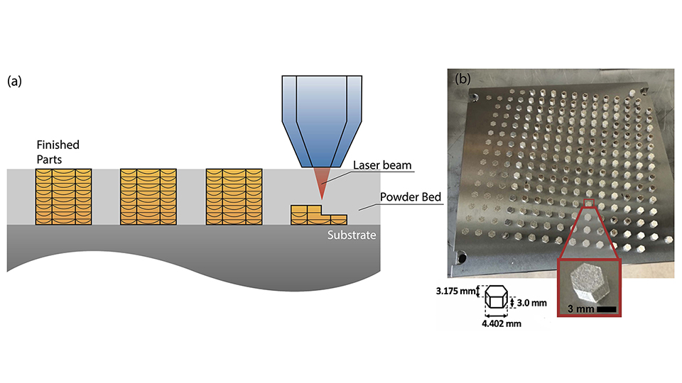 Scilight | AIP Publishing
