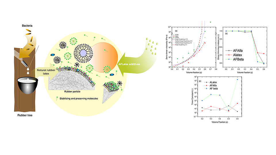 Scilight | AIP Publishing
