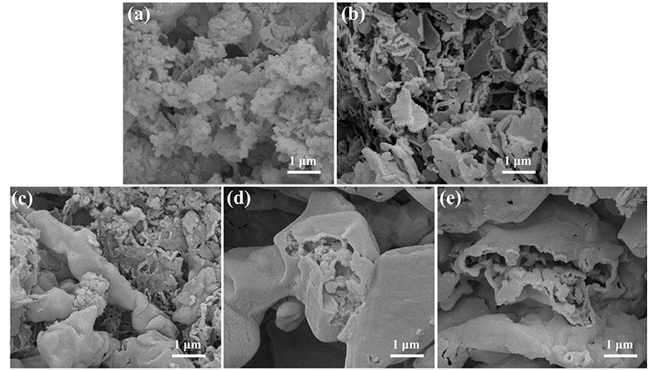 Scilight | AIP Publishing