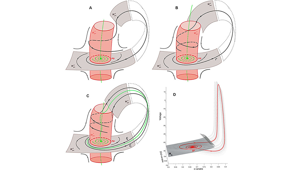 Modeling the chaos in a neuron | Scilight | AIP Publishing