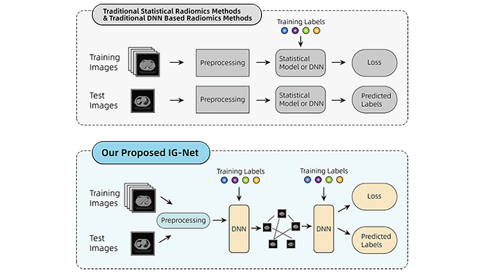 Image graph-based neural network enhances clinical image analysis ...
