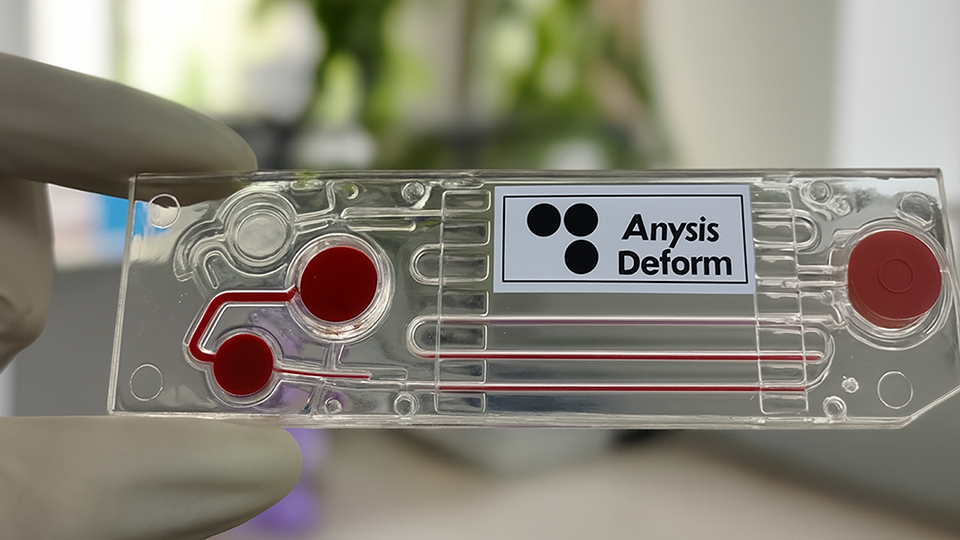 Microfluidic device mimics human spleen to differentiate red blood ...