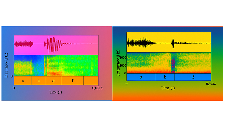 Breathing life into vowelless words: How Tarifit rewrites the rules of ...