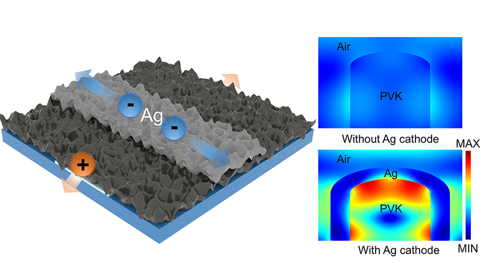 Lotus leaf structure improves perovskite efficiency by order of magnitude | Scilight | AIP ...