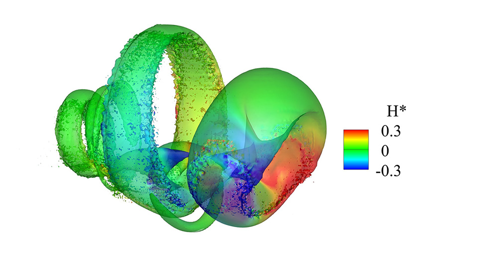 Vortex ring dynamics may open new window into heart health | Scilight ...