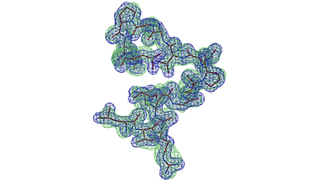 CrysFormer: Protein structure determination via Patterson maps, deep learning, and partial ...