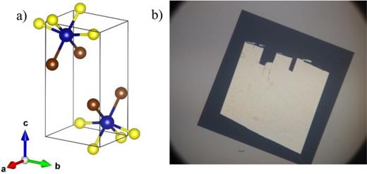 Ultrafast-induced coherent acoustic phonons in the two-dimensional ...