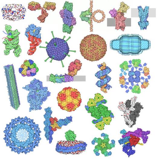 A new chapter for RCSB Protein Data Bank Molecule of the Month in 2025 ...