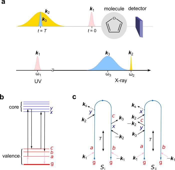 Monitoring conical intersections in the ring opening of furan by ...