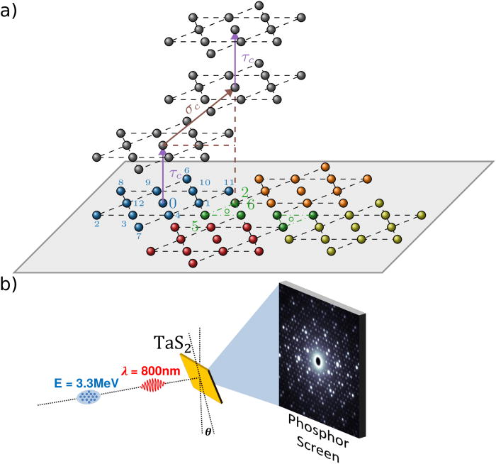 Stacking order dynamics in the quasi-two-dimensional dichalcogenide 1T ...