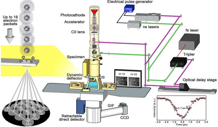 Ultrafast electron microscopy integrated with a direct electron ...