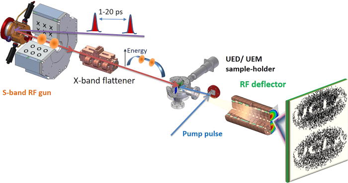Double-shot MeV electron diffraction and microscopy | Structural ...