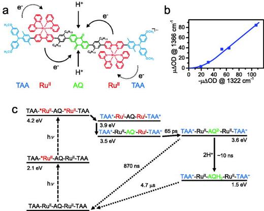 Charge migration and charge transfer in molecular systems | Structural ...