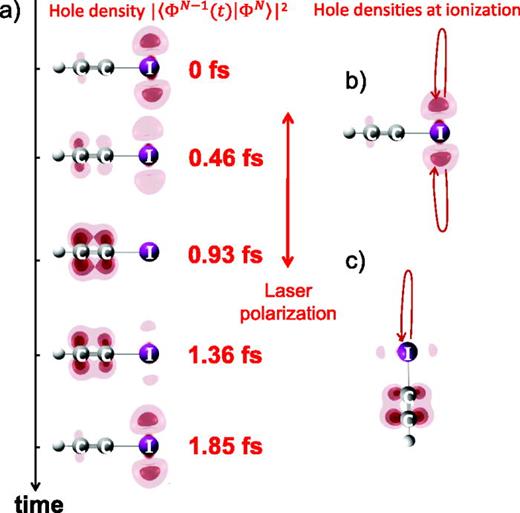 Charge migration and charge transfer in molecular systems | Structural ...
