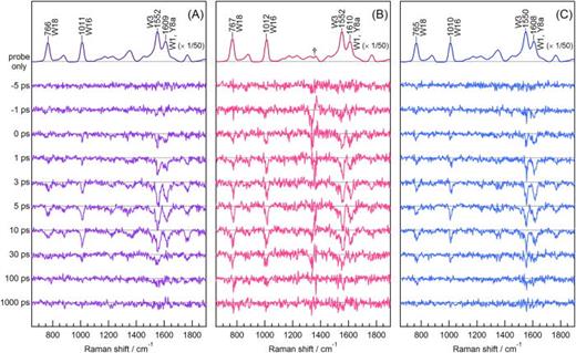 Effect of a bound anion on the structure and dynamics of halorhodopsin ...