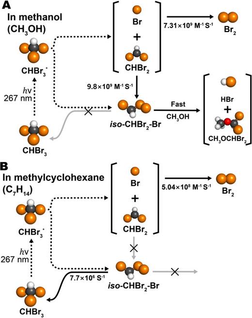 Solvent-dependent complex reaction pathways of bromoform revealed by ...