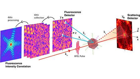 Fluorescence intensity correlation imaging with high spatial resolution ...