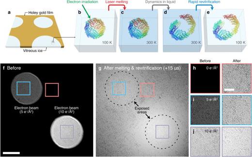 Microsecond melting and revitrification of cryo samples | Structural Dynamics | AIP Publishing