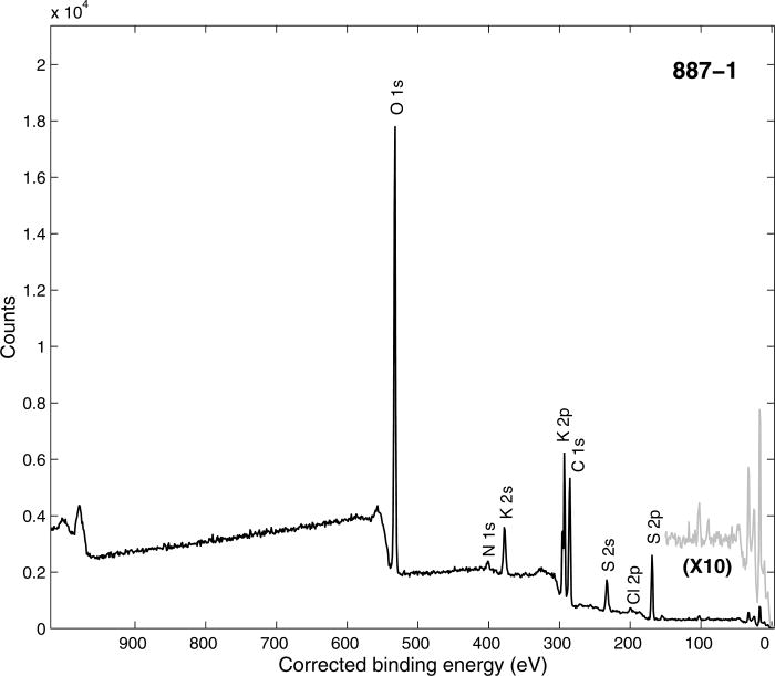 Poly(vinyl sulfate) Potassium Salt XPS Reference Core Level and Energy ...