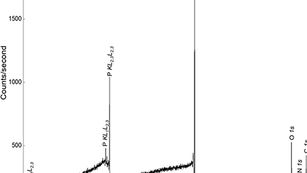 1,3-Dimethyl-imidazolium dimethyl phosphate ([MMIM]+[DMP]−) analyzed by ...
