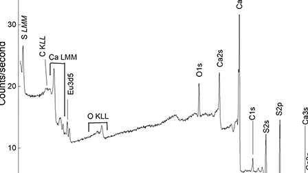 Calcium sulfide powder analyzed by XPS | Surface Science Spectra | AIP ...