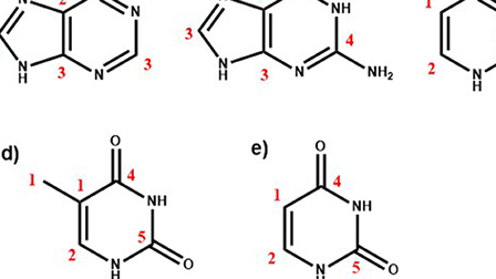 XPS spectra from nucleobases, DNA, and RNA | Surface Science Spectra | AIP Publishing