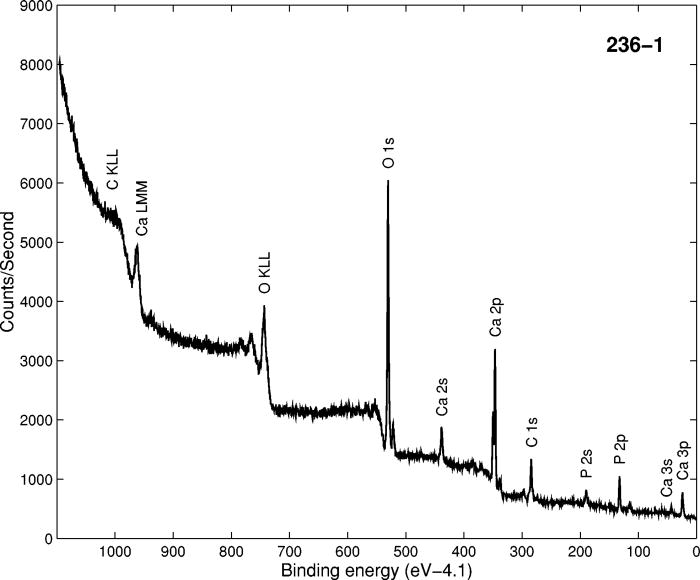 Hydroxyapatite Characterized by XPS | Surface Science Spectra | AIP ...