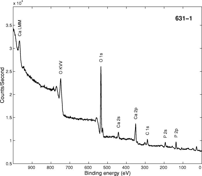 Brushite (CaHPO4⋅2H2O) by XPS | Surface Science Spectra | AIP Publishing