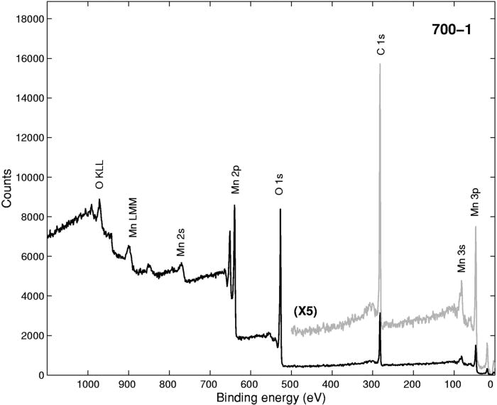 Manganese Dioxide (MnO2) by XPS | Surface Science Spectra | AIP Publishing