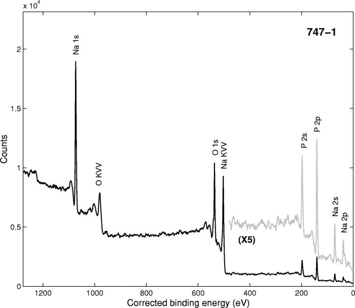 Sodium Hypophosphite Hydrate (NaH2PO2⋅0.8H2O) by XPS | Surface Science ...