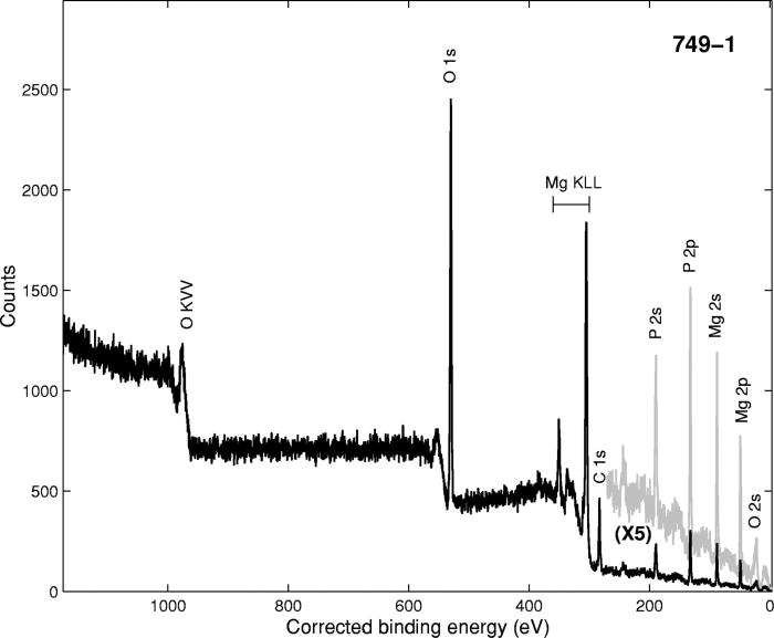 Magnesium Phosphate (Mg3(PO4) 2) by XPS | Surface Science Spectra | AIP ...