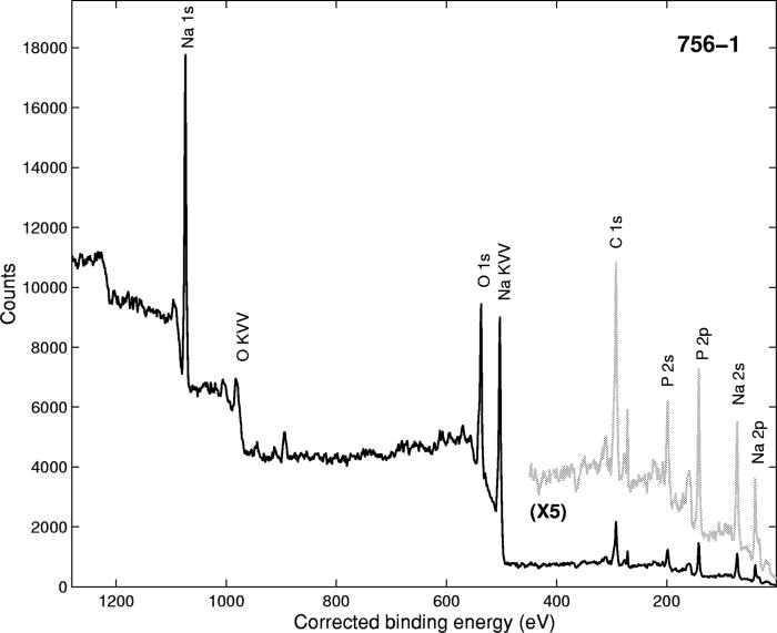 Sodium Pyrophosphate Decahydrate (Na4P2O7⋅10H2O) by XPS | Surface ...
