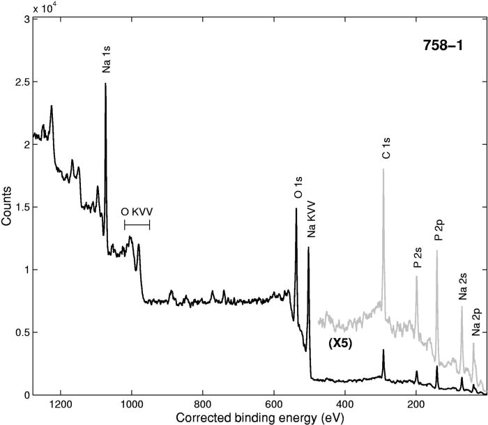Sodium Tripolyphosphate (Na5P3O10) by XPS | Surface Science Spectra ...