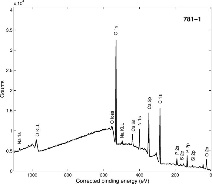 Mature Dental Enamel [Calcium Hydroxyapatite, Ca10(PO4) 6(OH) 2] by XPS ...