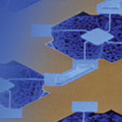 Microphysiological Systems | AIP Publishing Portfolio | AIP Publishing