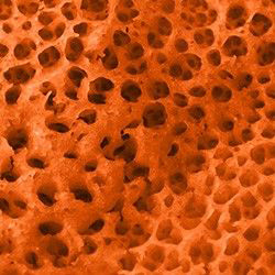 Collections | AIP Publishing