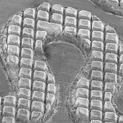 Collections | AIP Publishing