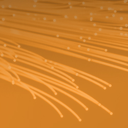 Intermodal and Multimode Fiber Photonics | APL Photonics | AIP Publishing