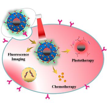 Special Topic Collection: Biointerface Science in China | AIP Publishing